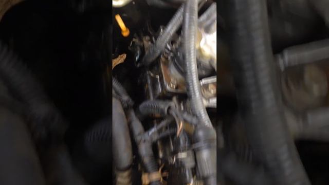 terrano 2