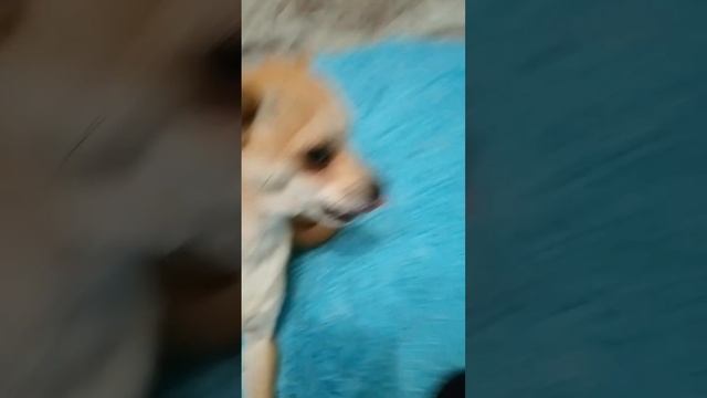 1000021146.mp4
