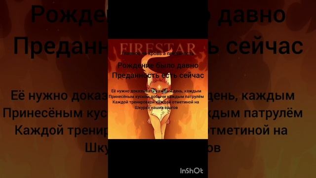 Чему нас научили коты воители огнезвёзд