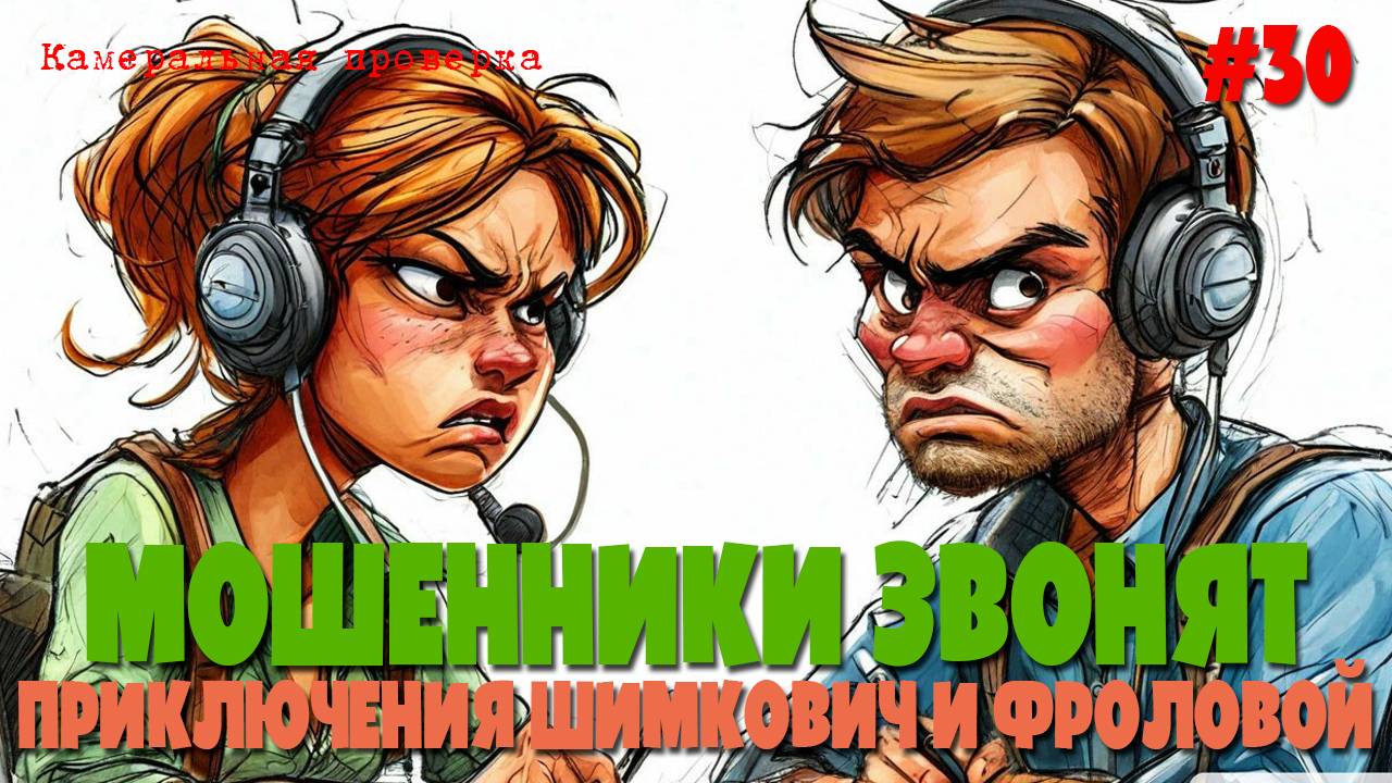 Проходим камеральную проверку | Мошенники звонят | Приключения Фроловой и Шимковича