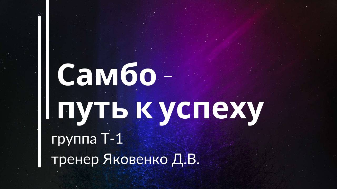 "Самбо - путь к успеху", Яковенко Д.В., Т-1