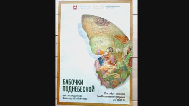 Бабочки Поднебесной 2024