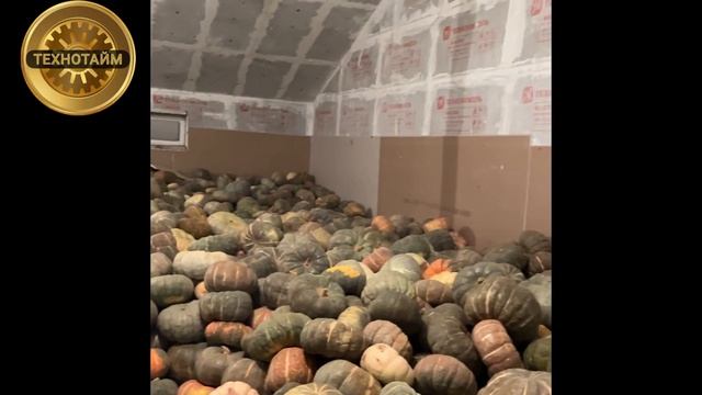 Тыква на хранении Как хранить тыкву