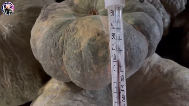 20 февраля хранение тыквы. Самая вкусная тыква