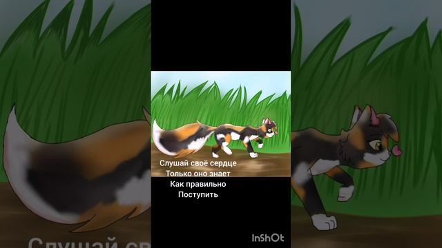 Чему нас научили коты воители пестролистая