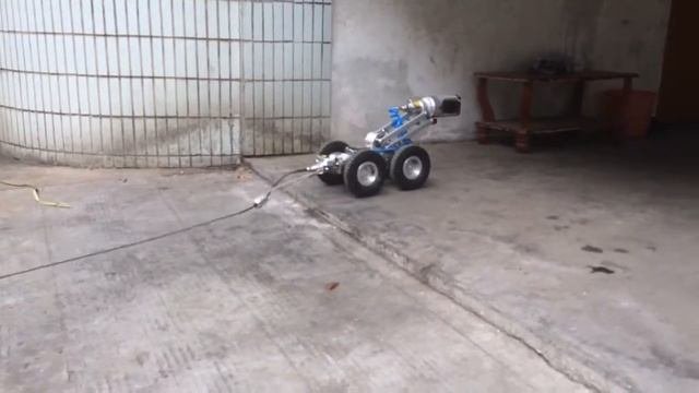 Роботизированная телеинспекционная система Rico