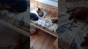 Воспоминания о лете. Серия 7.