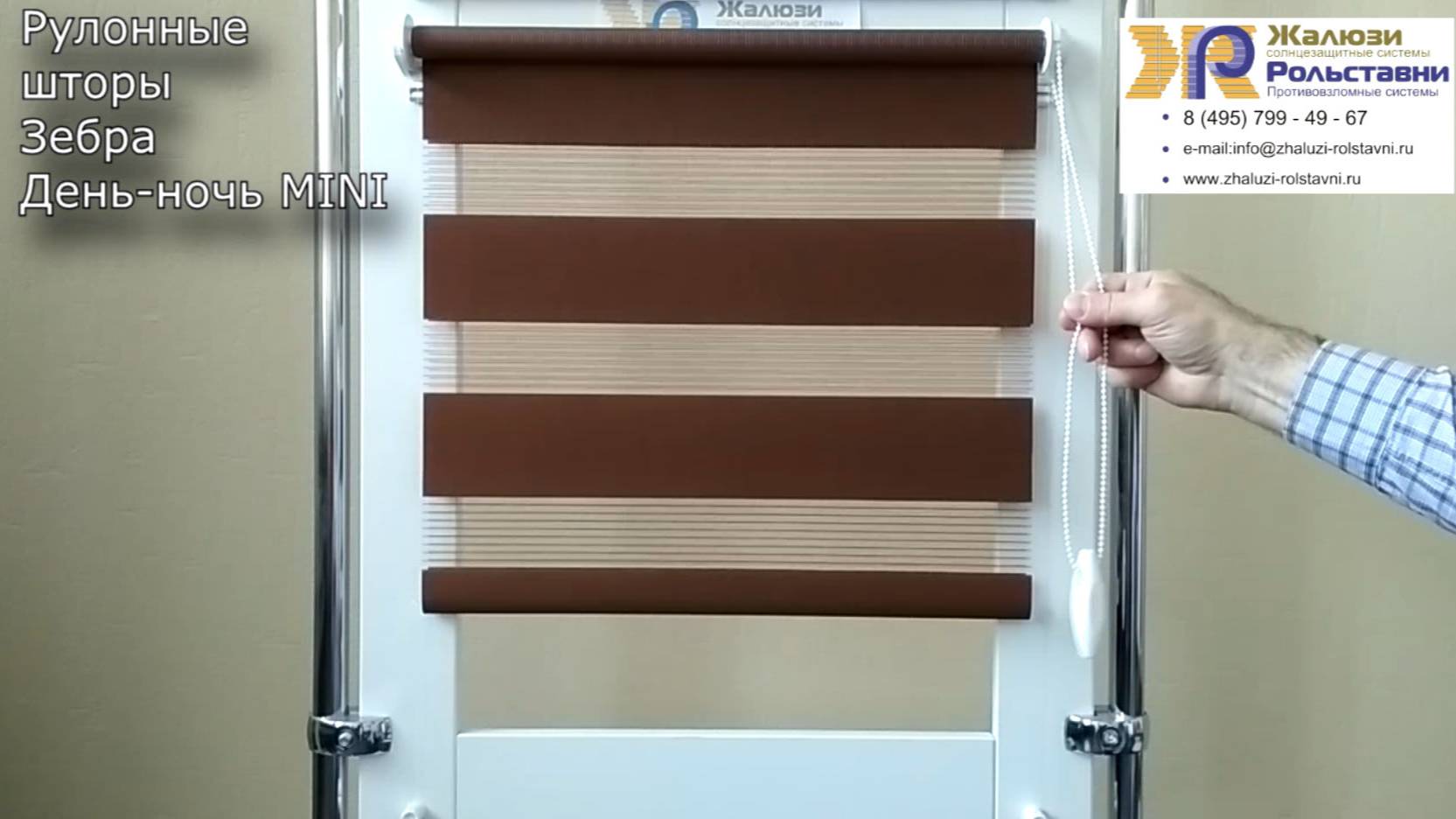 Зебра Mini...