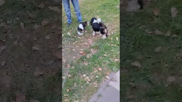 1000099973.mp4