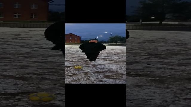 ТОП 3 ФИНТА В ФУТБОЛЕ🫡🫡🫡