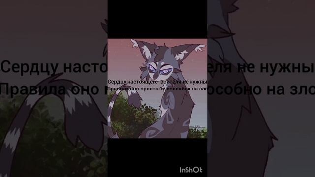 Чему нас научили коты воители воробей