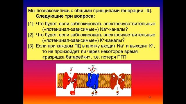Дубынин В. А. - Химия мозга - 2. Нейроны и потенциалы действия