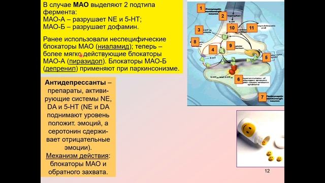 Дубынин В. А. - Химия мозга - 8. Серотонин