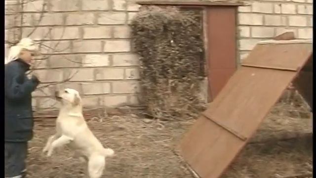 Выпуск новостей "Наше время. Астрахань", 22.09.2008