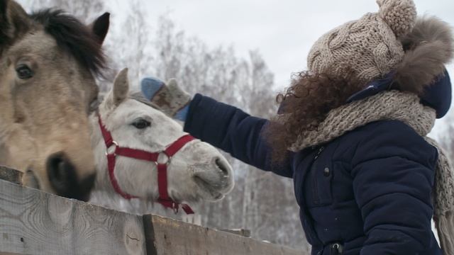 3192024-uhd_3840_2160_25fps - смотреть видео онлайн от «27tike» в ...
