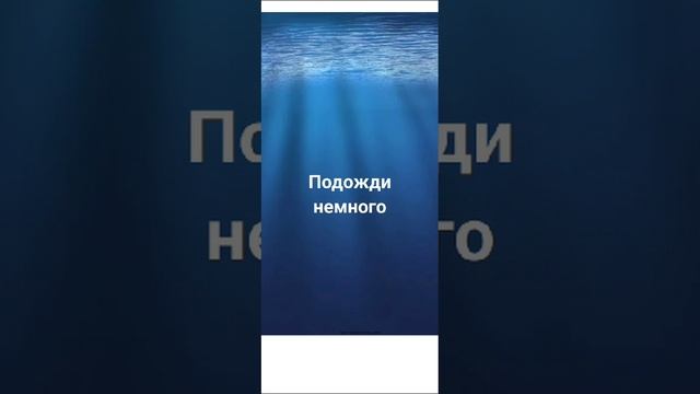 Регби