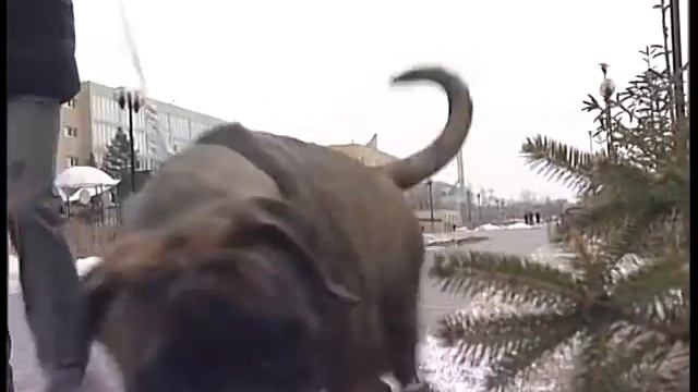 Выпуск новостей "Наше время. Астрахань", 25.03.2010