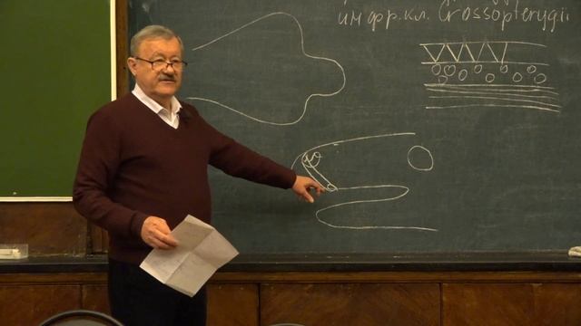 Корзун Л. П. - Зоология позвоночных - 8. Систематика рыб