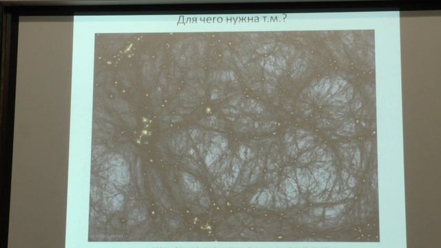Липунов В. М. - Астрофизика: От Большого Взрыва до Великого Молчания - 8. Темная материя