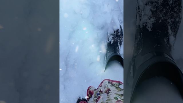 Лёг снег ❄️