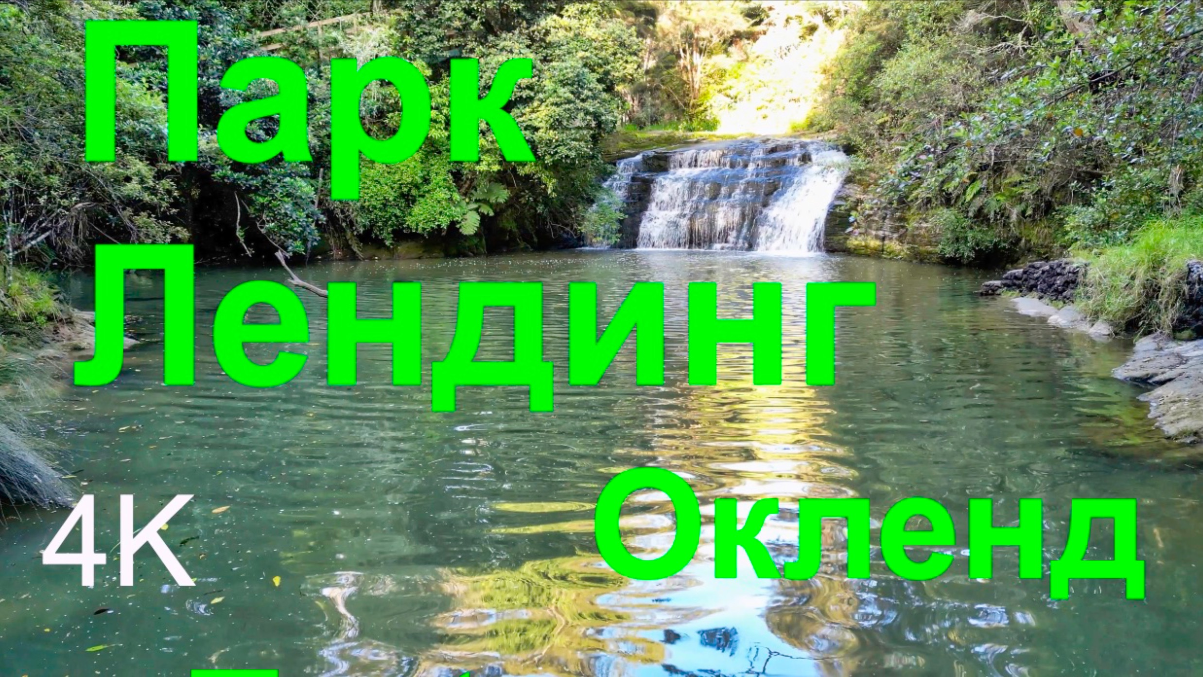 Прогулка по живописному парку Лендинг: Заповедная зона в Олбани, Новая Зеландия | 4K