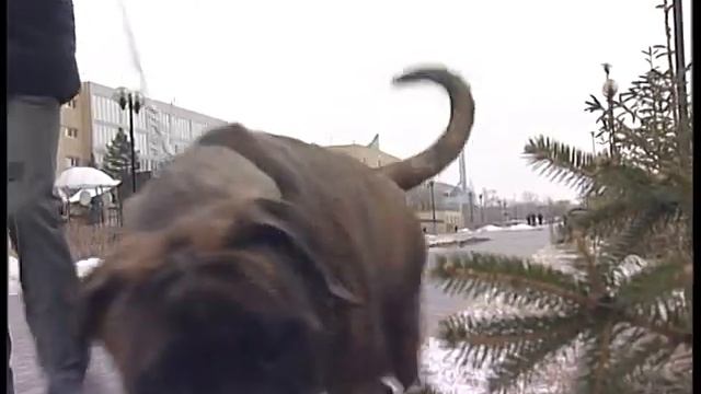 Выпуск новостей "Наше время. Астрахань", 25.02.2010