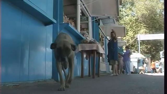 Выпуск новостей "Наше время. Астрахань", 09.06.2005