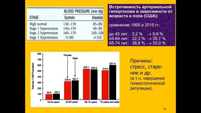 Дубынин В. А. - Химия мозга - 5. Норадреналин