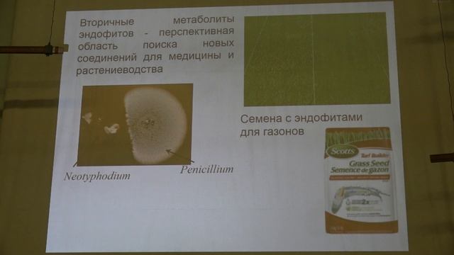 Кураков А. В. - Низшие растения. Микология - 4. Эуаскомицеты