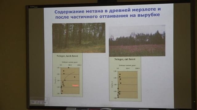 Брушков А. В. - Геокриология. Часть 1 - 13. Воздух, газы и органическое вещество в мёрзлых породах