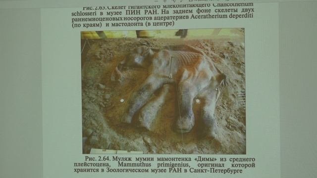 Габдуллин Р. Р. - Историческая геология - 14. Кайнозой