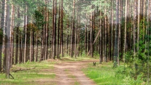 Песня о Будогощи - (Премьера песни, 2024).
