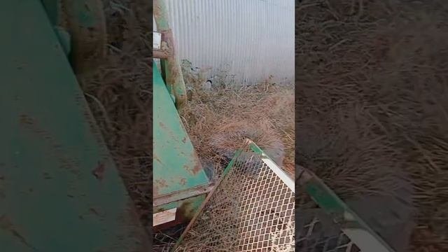 Разбрасыватель удобрений 
РУН 0.8к экспресс-обзор от Константина Велигодского