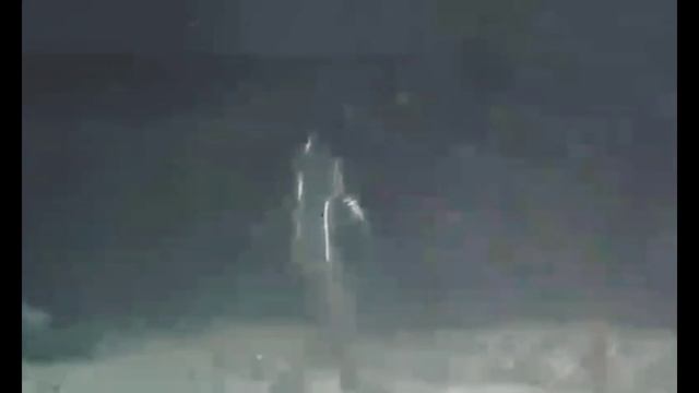 У нас сегодня снег. Misha Ingelant