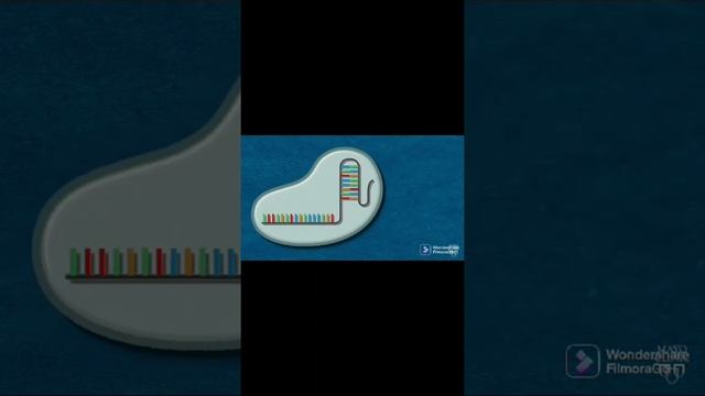 CRISPR Cas9 #crispr #cas9 #grna #letsunderstandbiology #letsunderstand #lub