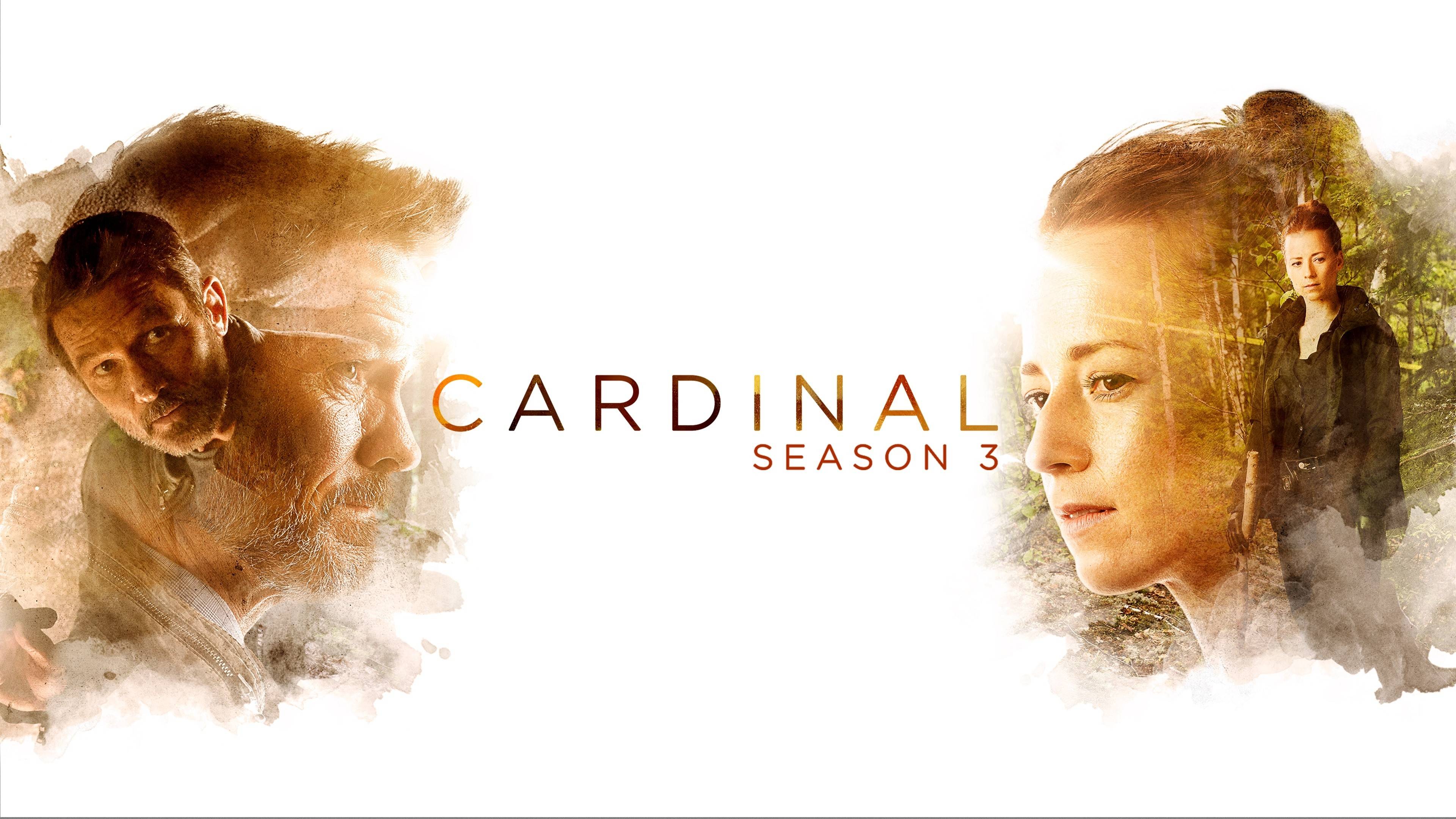 Сериал Кардинал - 3 сезон 4 серия / Cardinal