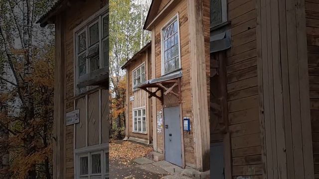 Ухта. Золотая осень на Первомайской улице #shorts #ухта #осень