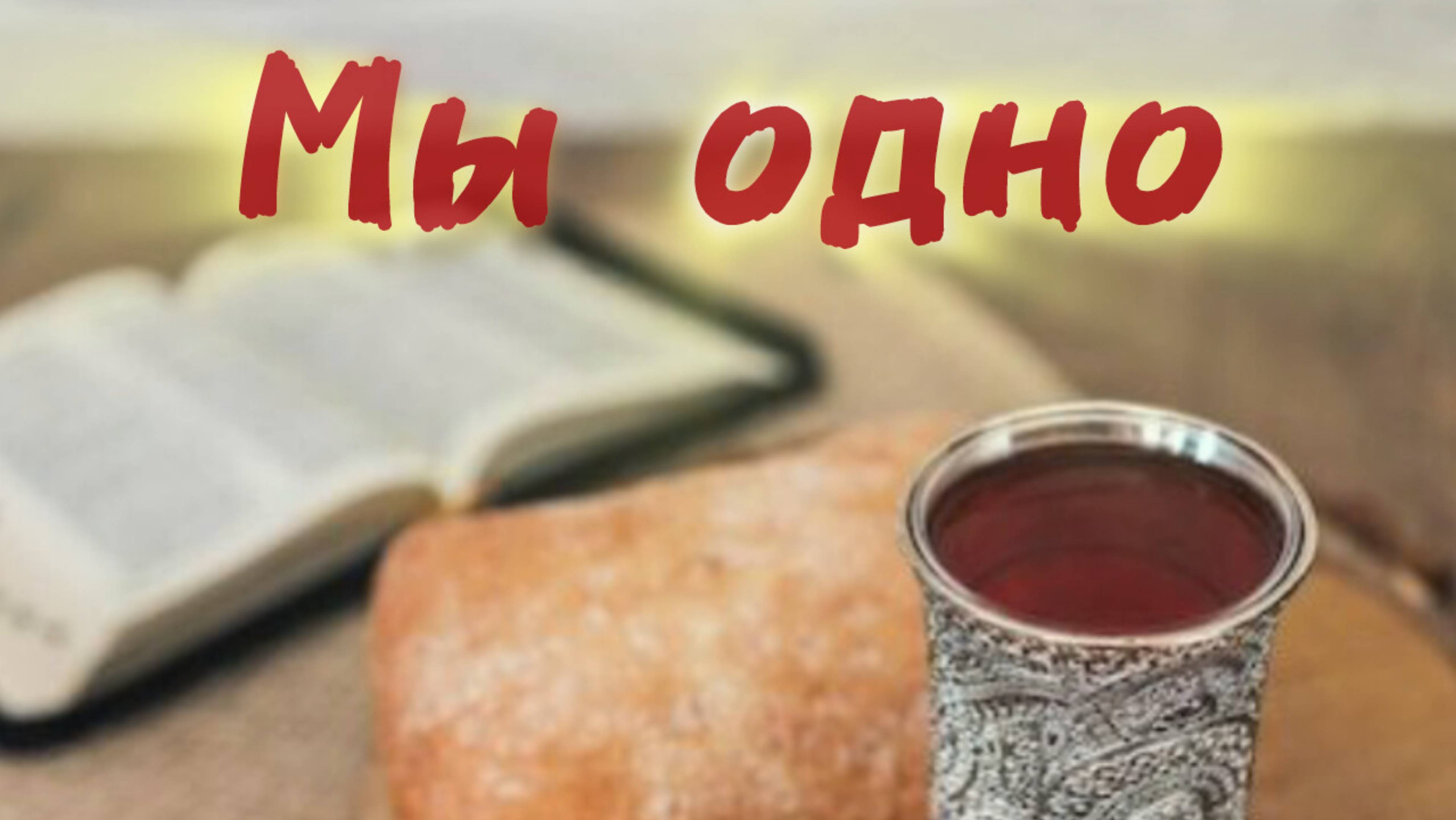 Мы одно