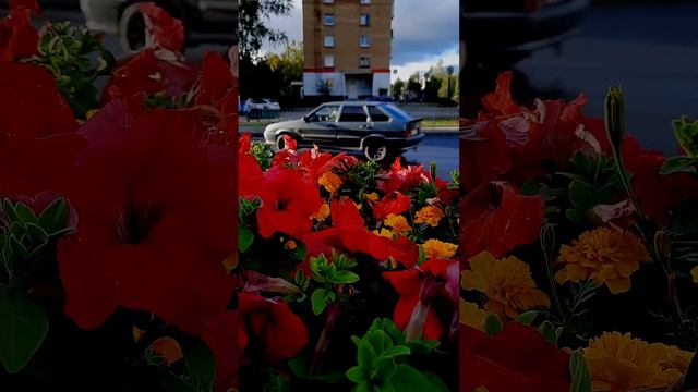 Ухта. Перекресток. Улицы Оплеснина, Октябрьская, Чибьюская #ухта #shorts #коми