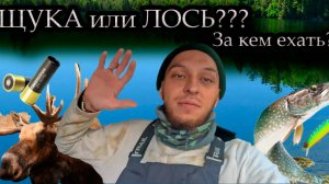 ЩУКА или ЛОСЬ? НА РЫБАЛКУ или НА ОХОТУ? ВОПРОС