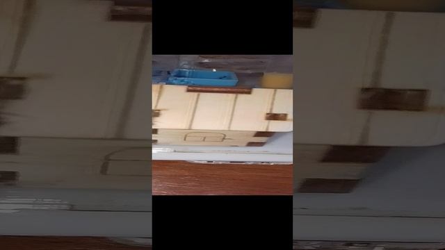 очень странное поведение муравьёв после уборки 😑😑😑