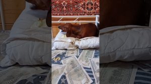 Осень наступила. Давайте запасаться витаминами!