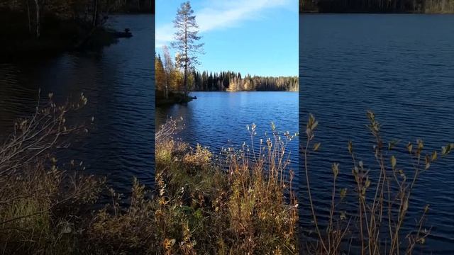 Большое Параськино карстовое озеро Ухта #shorts