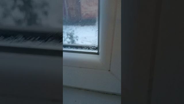 4 ноября снег я в шоке