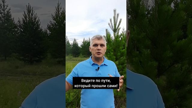 Чему учить?