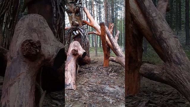 Ухта Леший Параськины озера #ухта #shorts #параськиныозера