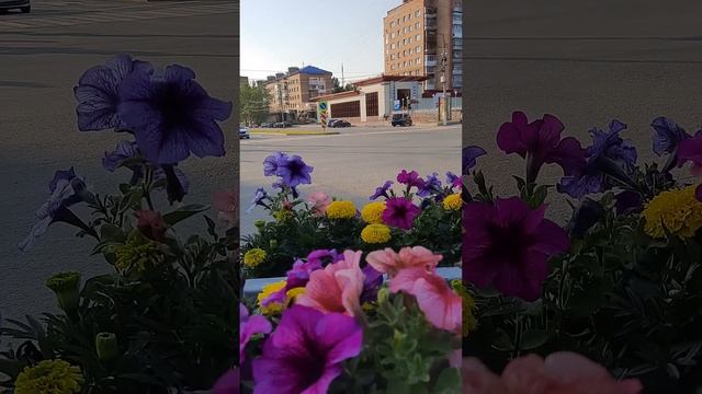 Ухта. Перекресток Ленина и Космонавтов #ухта #коми