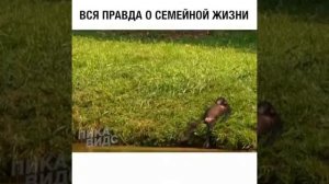 Вся правда о семейной жизни