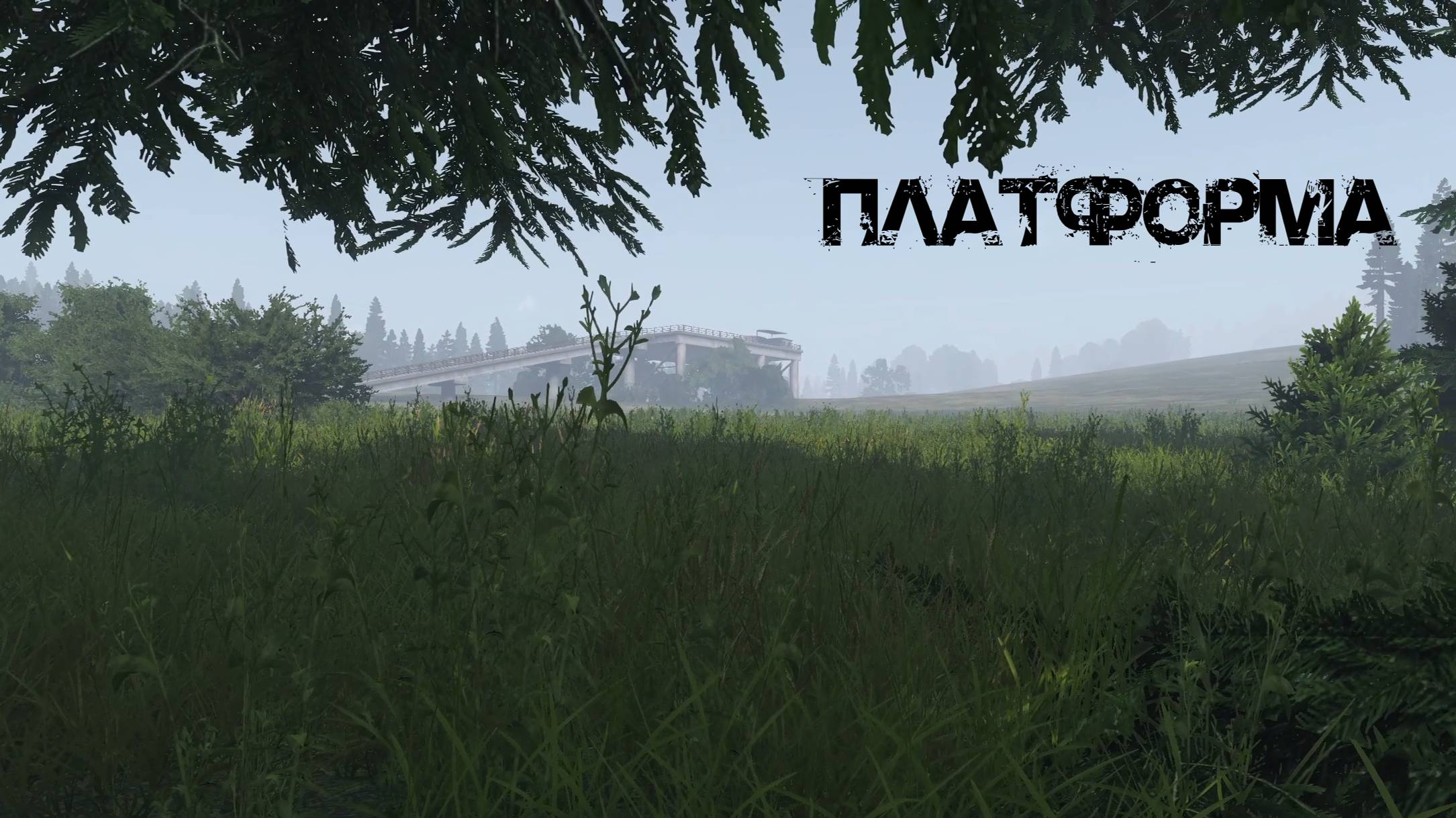 WIN IN HELL RP / DayZ Standalone / Платформа