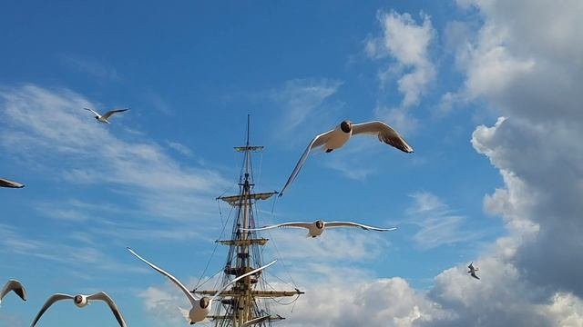 ПЕТРОВСКАЯ ПРИСТАНЬ. Чайки и китайцы